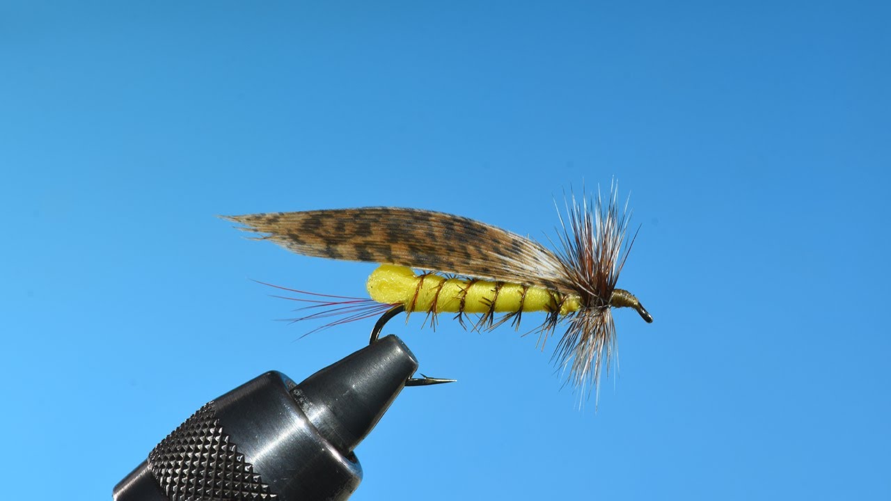 Joe's Hopper with Eric Austin