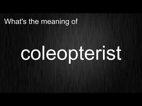 What's the meaning of "coleopterist", How to pronounce coleopterist?