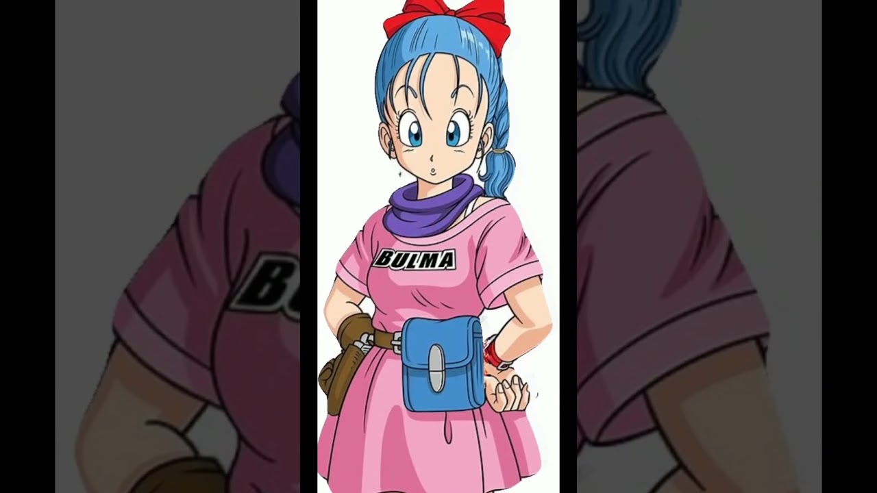 Bulma Vs Chichi