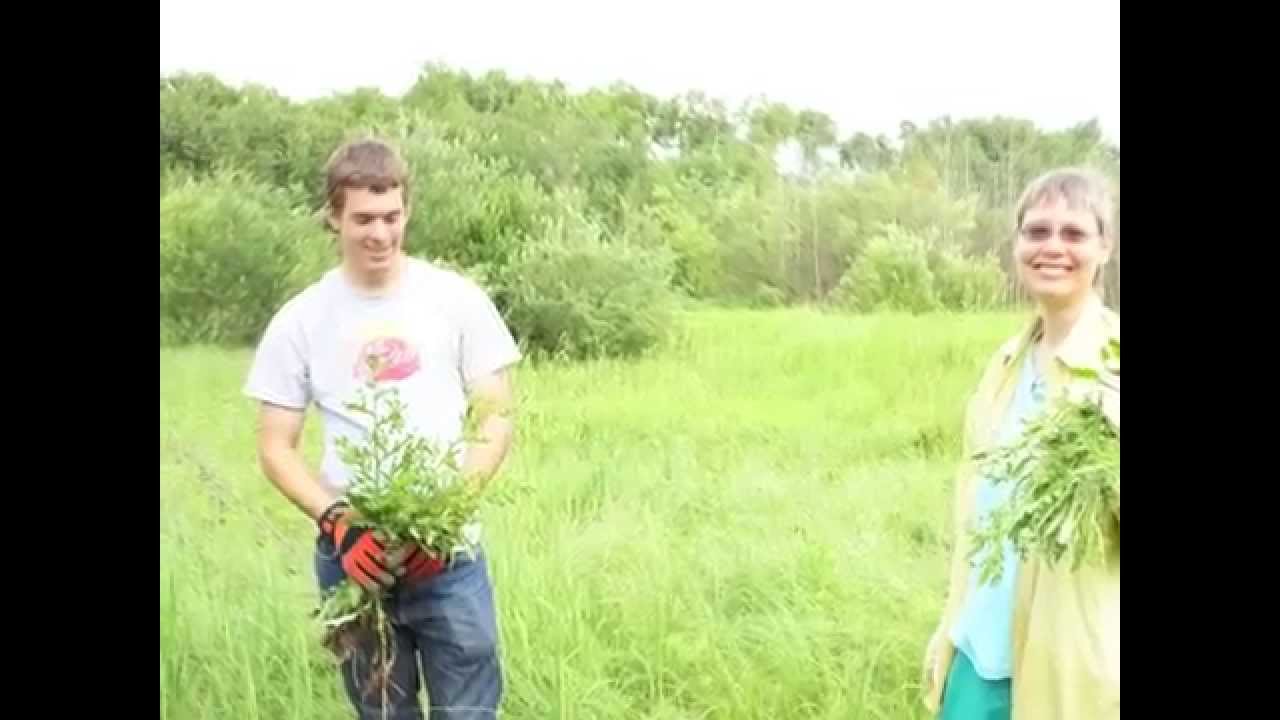 NCC Conservation Interns: Ian