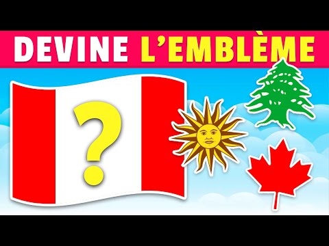 Drapeaux du monde : les faits les plus insolites