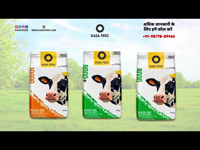 Cattle Feed - Kasa 8000 Cattle Pellet Feed Manufacturer from Patiala
