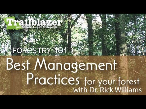 Best Management Practices for Your Forest: Forestry 101 With Dr. Rick Williams