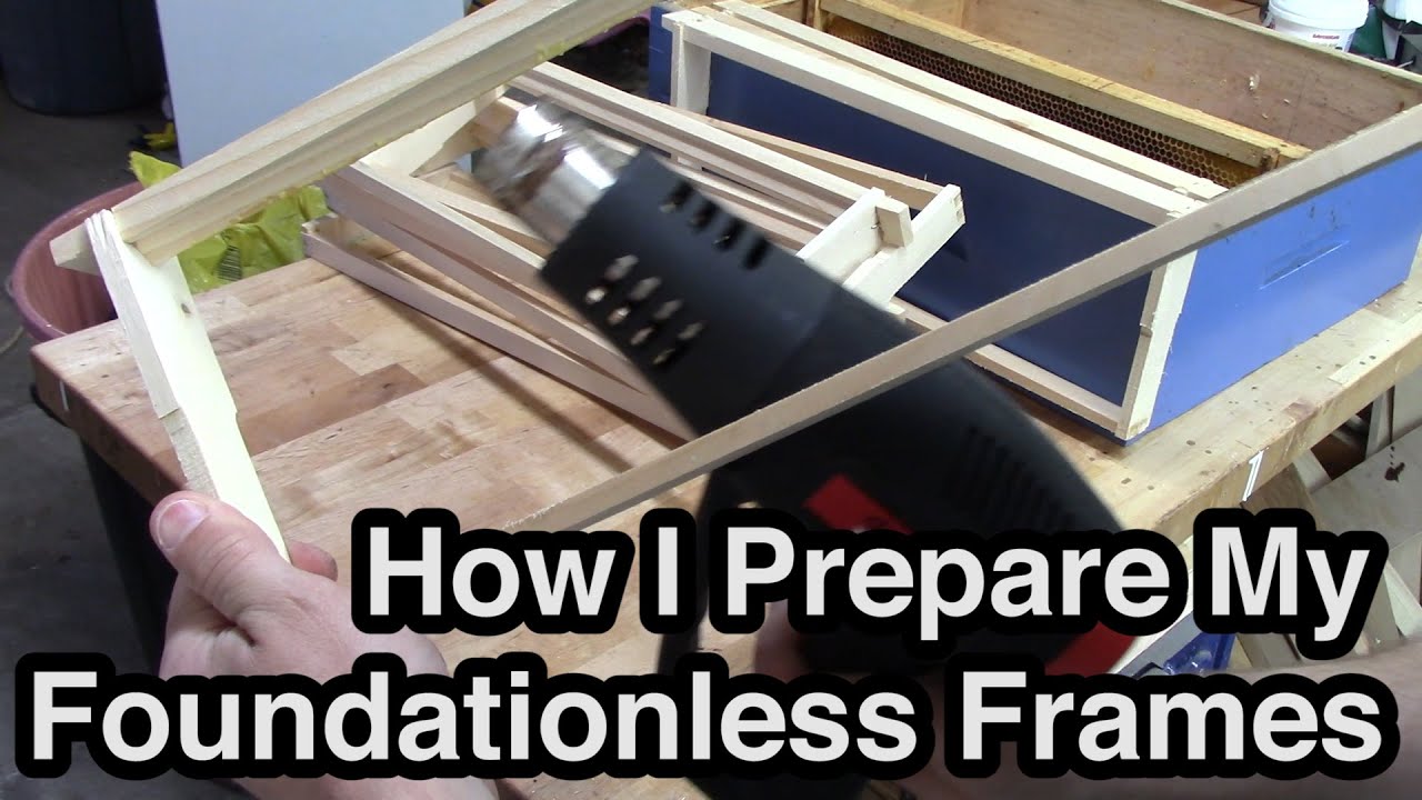 Beekeeping Without Foundation: Preparing Frames