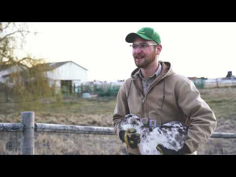 Idaho Agriculture and Small Business