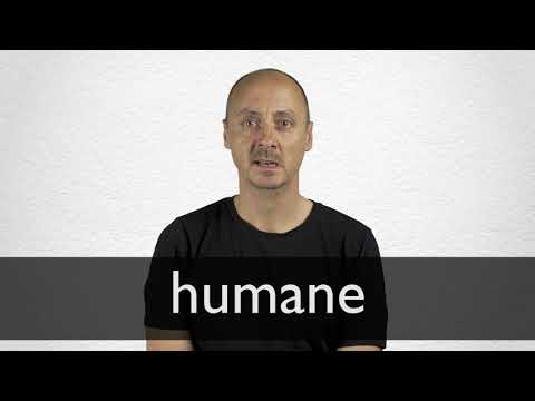 HUMANE - Meaning & Translations | Collins English Dictionary