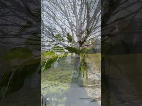Sifat - Sifat Cahaya Part 1