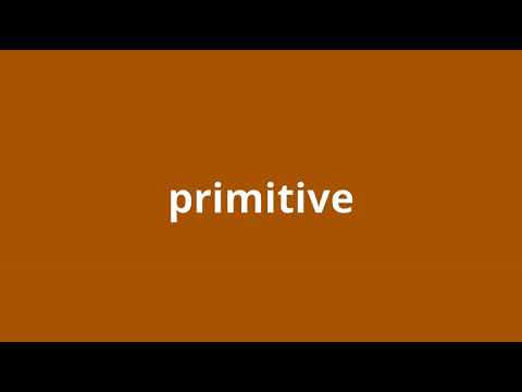 what is the meaning of primitive
