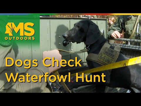 Game Warden K9 Waterfowl Compliance Check