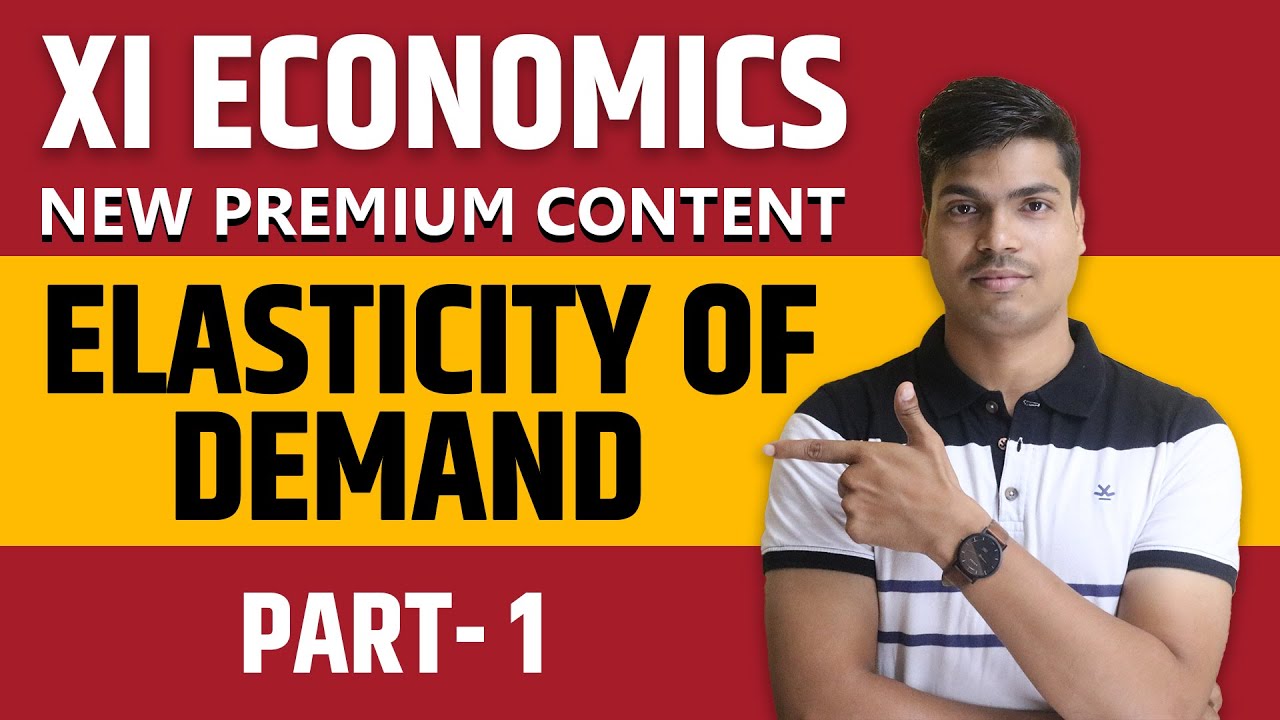 Understanding Price Elasticity of Demand in Microeconomics | Galaxy.ai