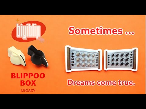 Biyiblip - Rob Hordijk Blippoo Box Legacy [1/4" | Reverb Australia