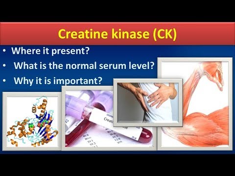 Creatine Kinase(CK)Clear overview.......