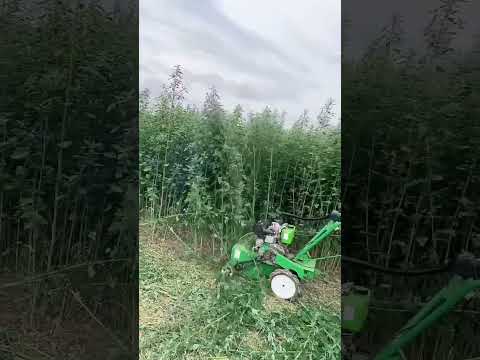 Amazing Farming Machine in Action 🚜💥 | JUST KD Agriculture | Part 108