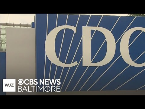 RFK Jr. names 8 new members of the CDC's vaccine advisory panel after removing 17.
