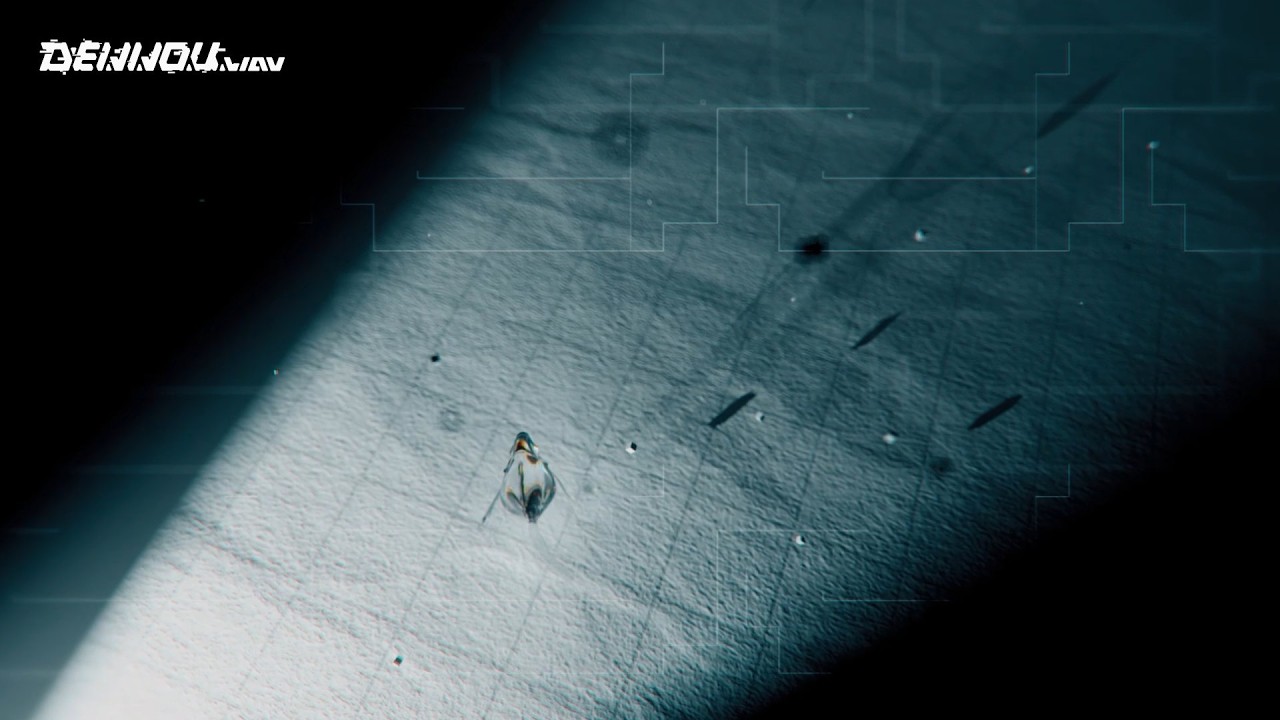 Boundary / Purukichi