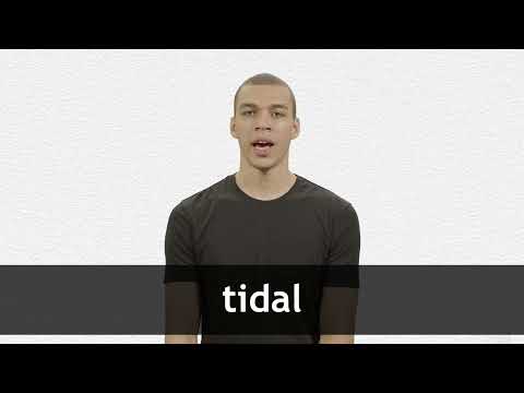 TIDAL definition and meaning | Collins English Dictionary