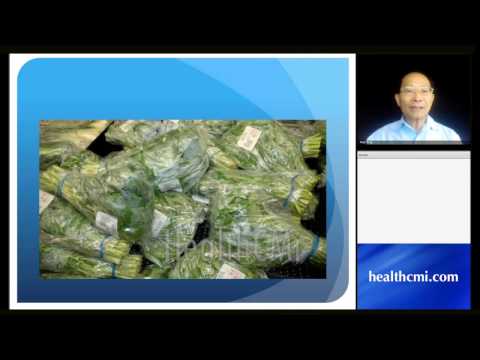 The Wisdom of Chinese Medicine Dietetics, Part 1 | Acupuncture CEUs Online