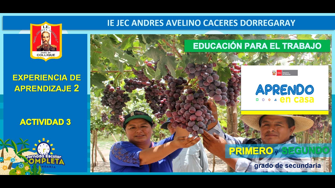 SEMANA 9 EPT: EXPERIENCIA DE APRENDIZAJE 2 - ACTIVIDAD 3 - CICLO VI