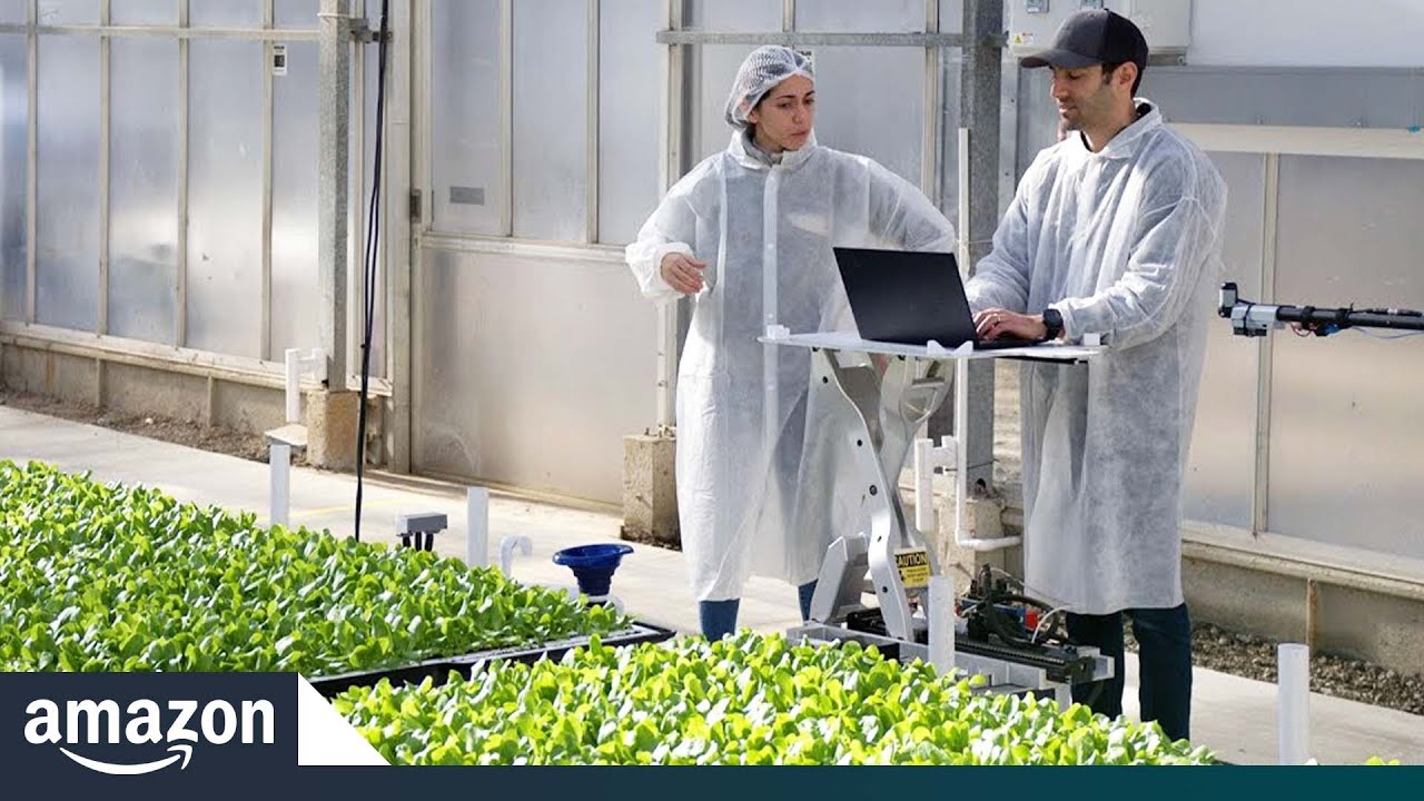 Amazon Starts Selling Lettuce Grown With the Help of Robot Farmers ...