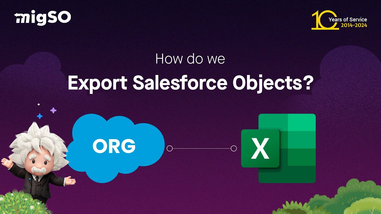 How to Export Salesforce Objects using migSO | Tutorial