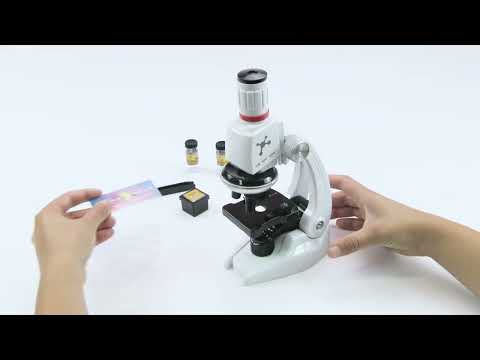 Microscope III | +6 Science4you