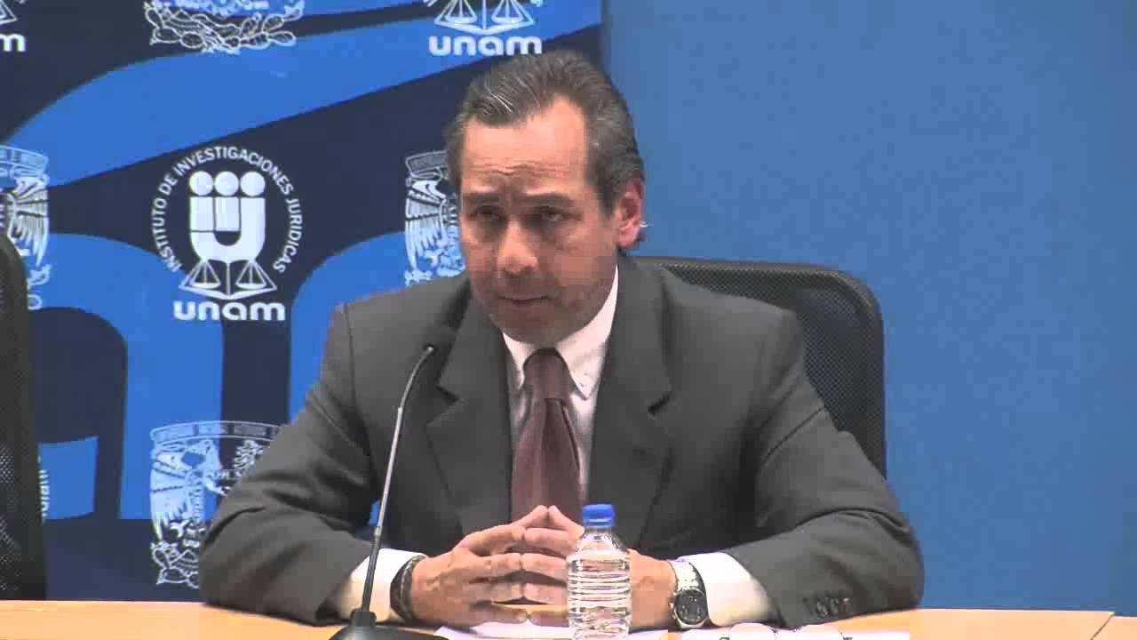 Criterios y Jurisprudencia Interamericana de DDHH: influencia y repercusión..., IIJ-UNAM  (9/9)