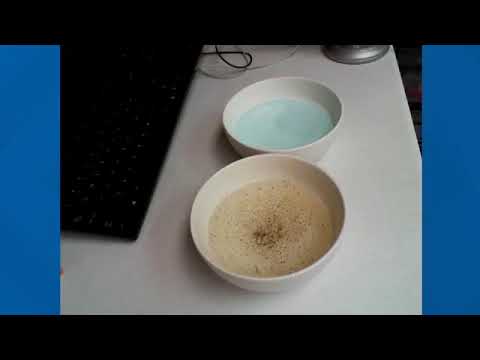 Why is soap so important when you wash your hands? | Science with StormTracker 9