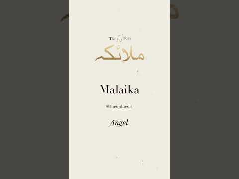 Malaika Urdu Name Meaning ππ | The Urdu Edit #Shorts