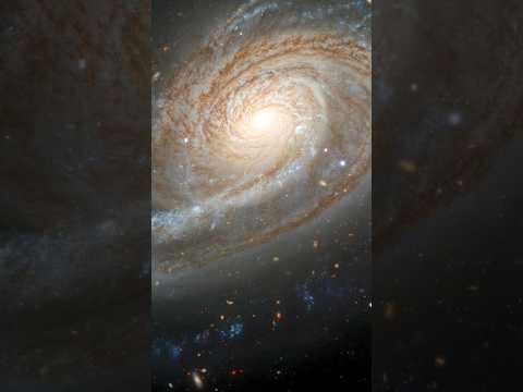 The 4 Main Types of Galaxies In The Universe #galaxies #universe #short