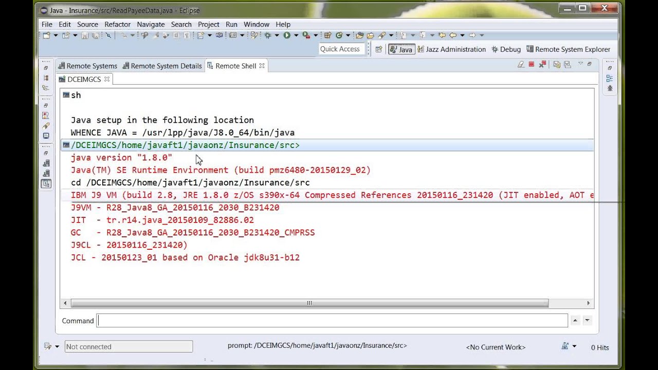 Deploy Java Application to USS