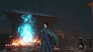 LB Disciple Nightjar Cape opt vs Geni from Sekiro Resurrection with ...