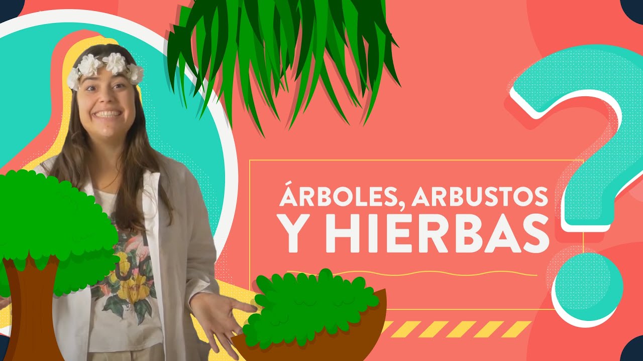 Árboles, arbustos y hierbas