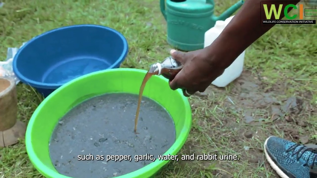 Capacity building for community livelihoods and agroecology