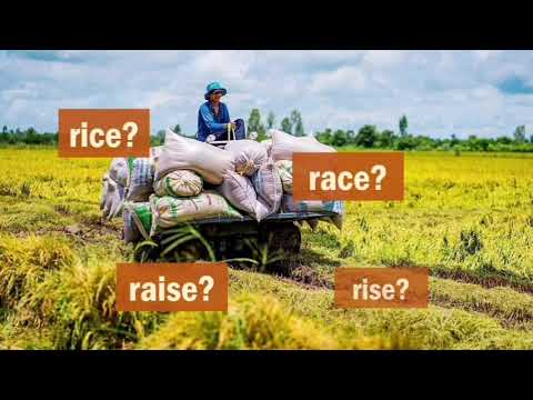 Rice, rise, race, raise? Pronunciation