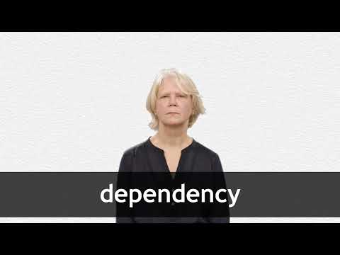 DEPENDENCY definition in American English | Collins English Dictionary
