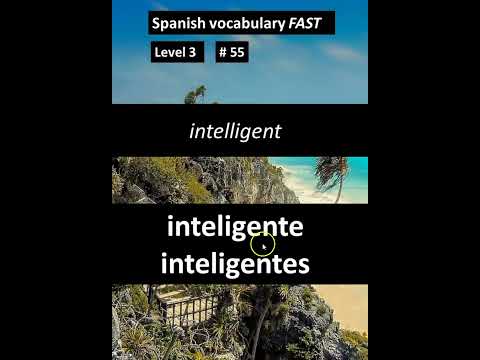INTELLIGENT / INTELIGENTE #spanishvocabulary