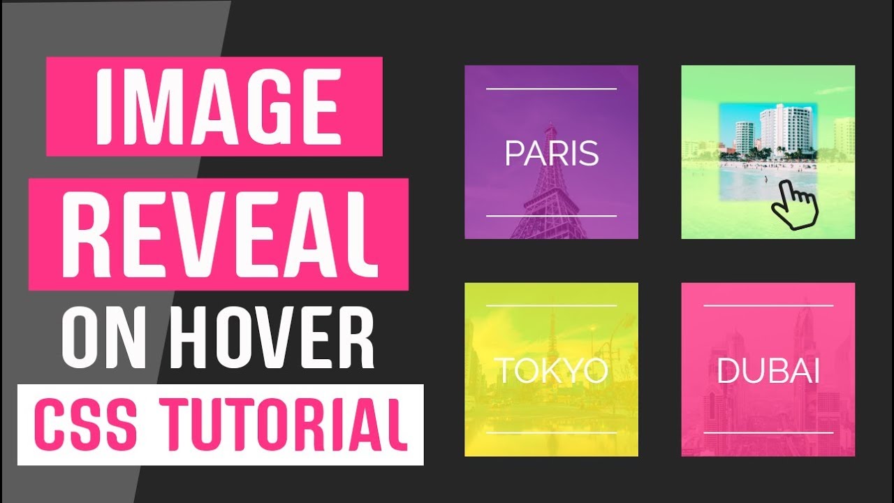 Image Reveal On Hover CSS | CSS Image Effects | CSS Tutorials