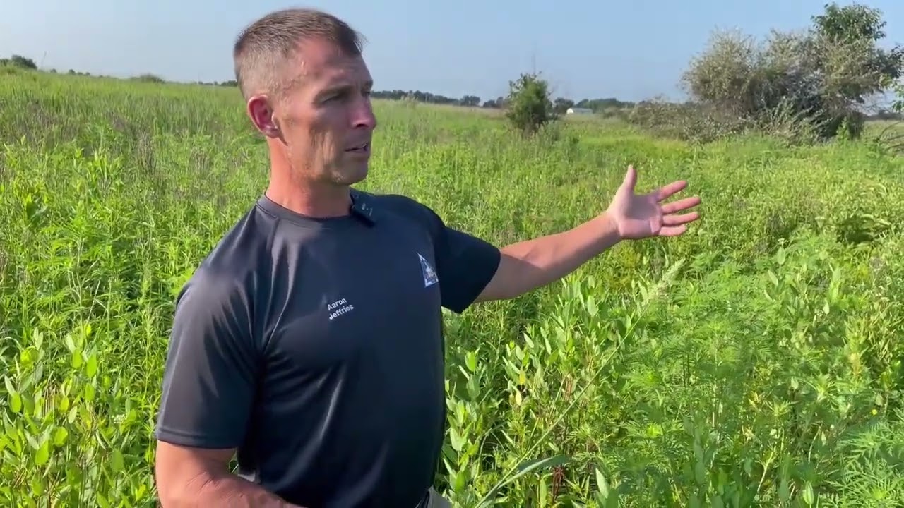 Habitat Hints: Reed Canary Grass