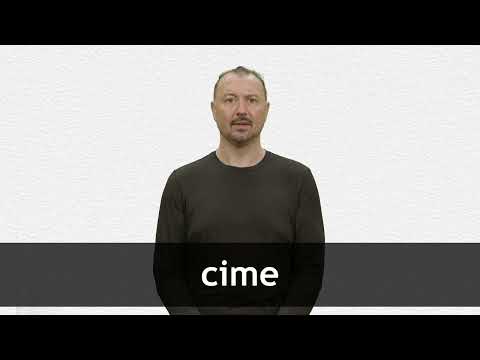 English Translation of “CIME” | Collins French-English Dictionary