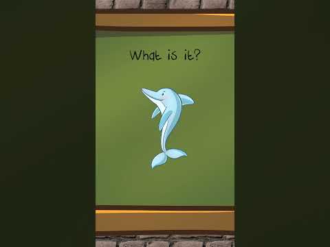Words that Start with D #esl #englishlearning #phonics #beginningreading #dwords