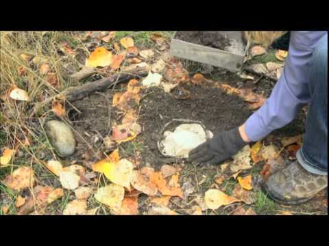 Chukar Culture: Watch Out for Traps