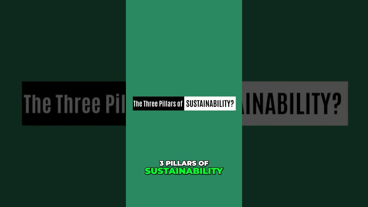 The 3 Pillars of Sustainability EXPLAINED