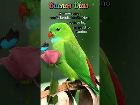 ¡Buenos días! Que tengas un maravilloso día y que la bendición de Dios te acompañe. Feliz día