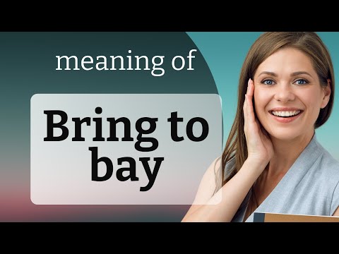 Unraveling Idioms: "Bring to Bay"