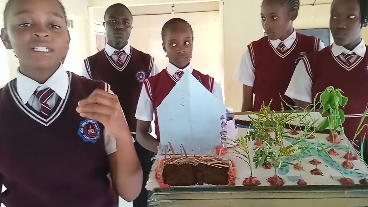 EXCEL ELEMENTARY JSS AGRIC PROJECT