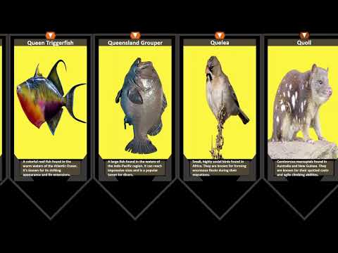 Animals That Start With Q - Quest for Quaint and Quirky Quarters.