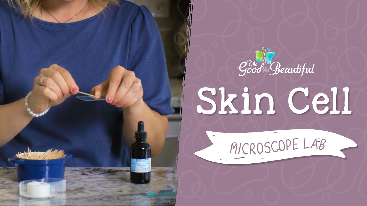 Skin Cell Microscope Lab | Kingdoms and Classification | The Good and the Beautiful