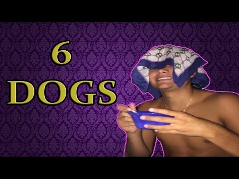 6 Dogs Wiki