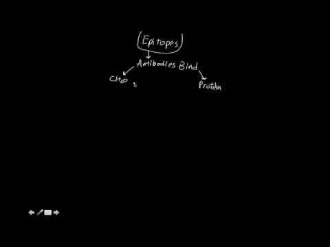 Immunology: Epitopes