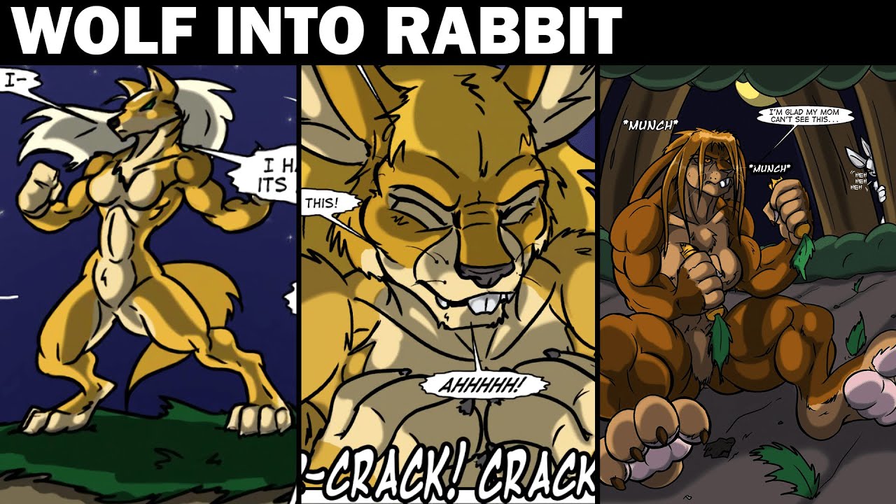 [BLACK-RAT] WOLF INTO RABBIT TF